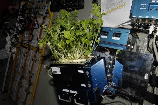 Space Agriculture is Now in Style – Technology Vista
