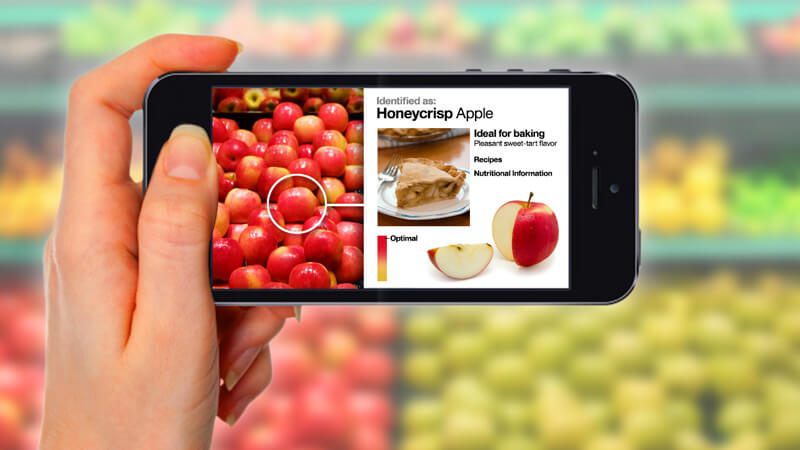 Brain-inspired chip to be commercialized by IBM – Technology Vista