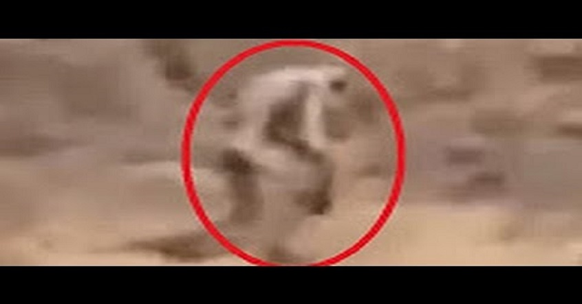Mysterious ‘man, like creature’ - The Mythical Chupacabra Found? Or Is ...